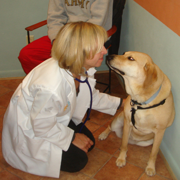 Veterinary Services – Animal Wellness Center Santa Fe