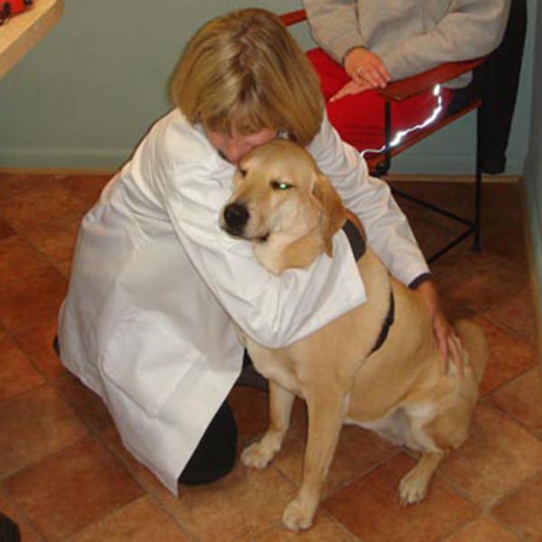 Veterinary Services – Animal Wellness Center Santa Fe